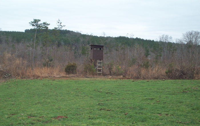 Whitetail Deer Hunting at Alabama Deer Hunting Lodge